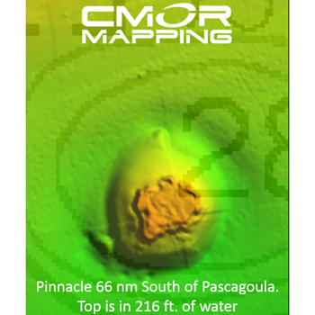 CMOR Chart for East Gulf Of Mexico for Navico | The GPS Store